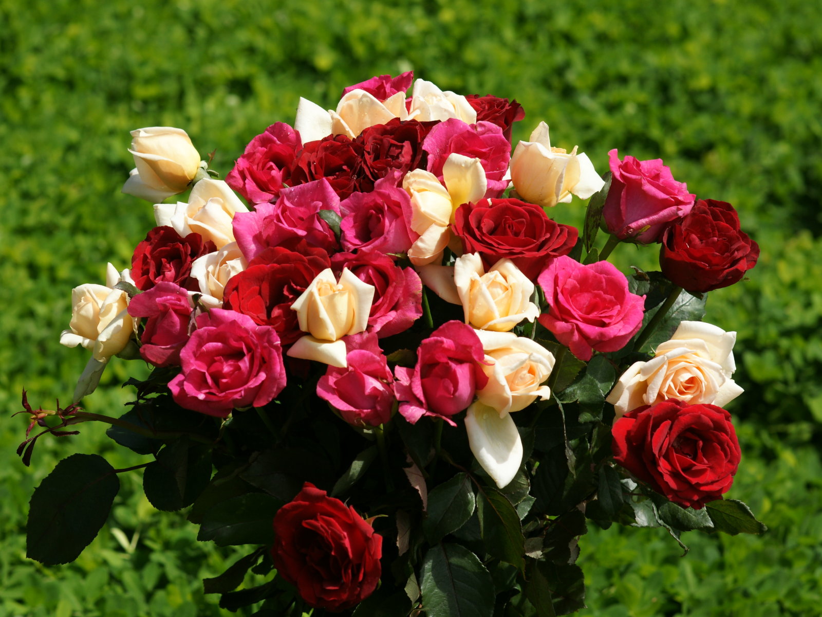 Roses Wallpapers Colorful Roses Rose Bouquet Wallpaper